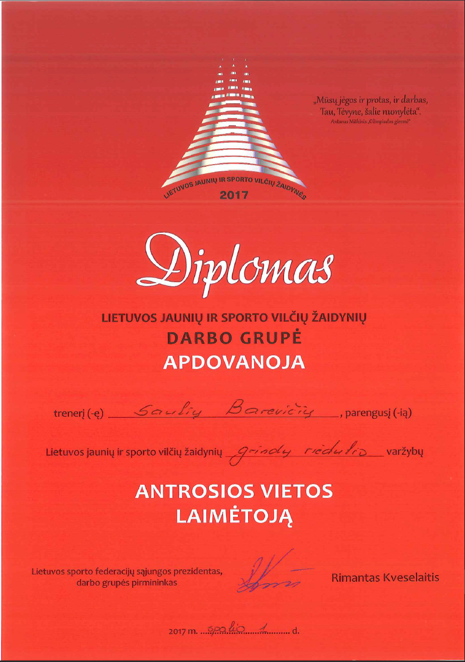 Sporto pasiekimai | Marijampolio Meilės Lukšienės gimnazija